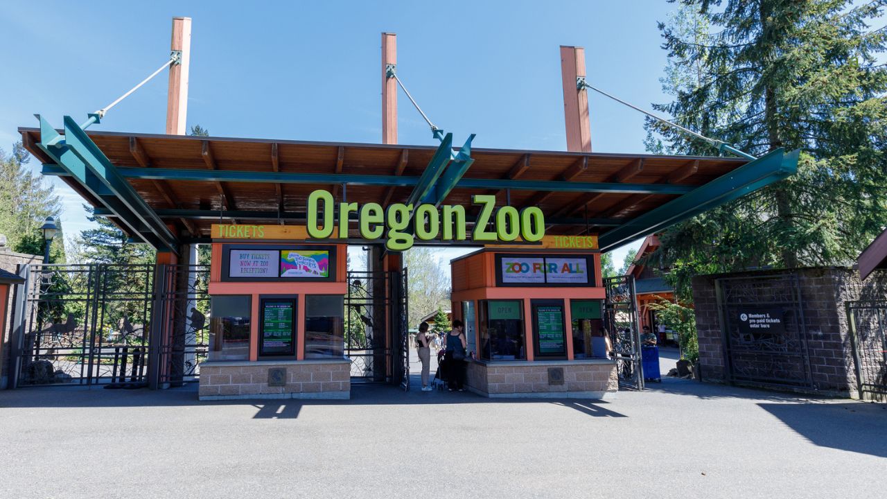 Beyond Burgers and Fries: A Guide to the Best US Zoo Restaurants - Dope AF